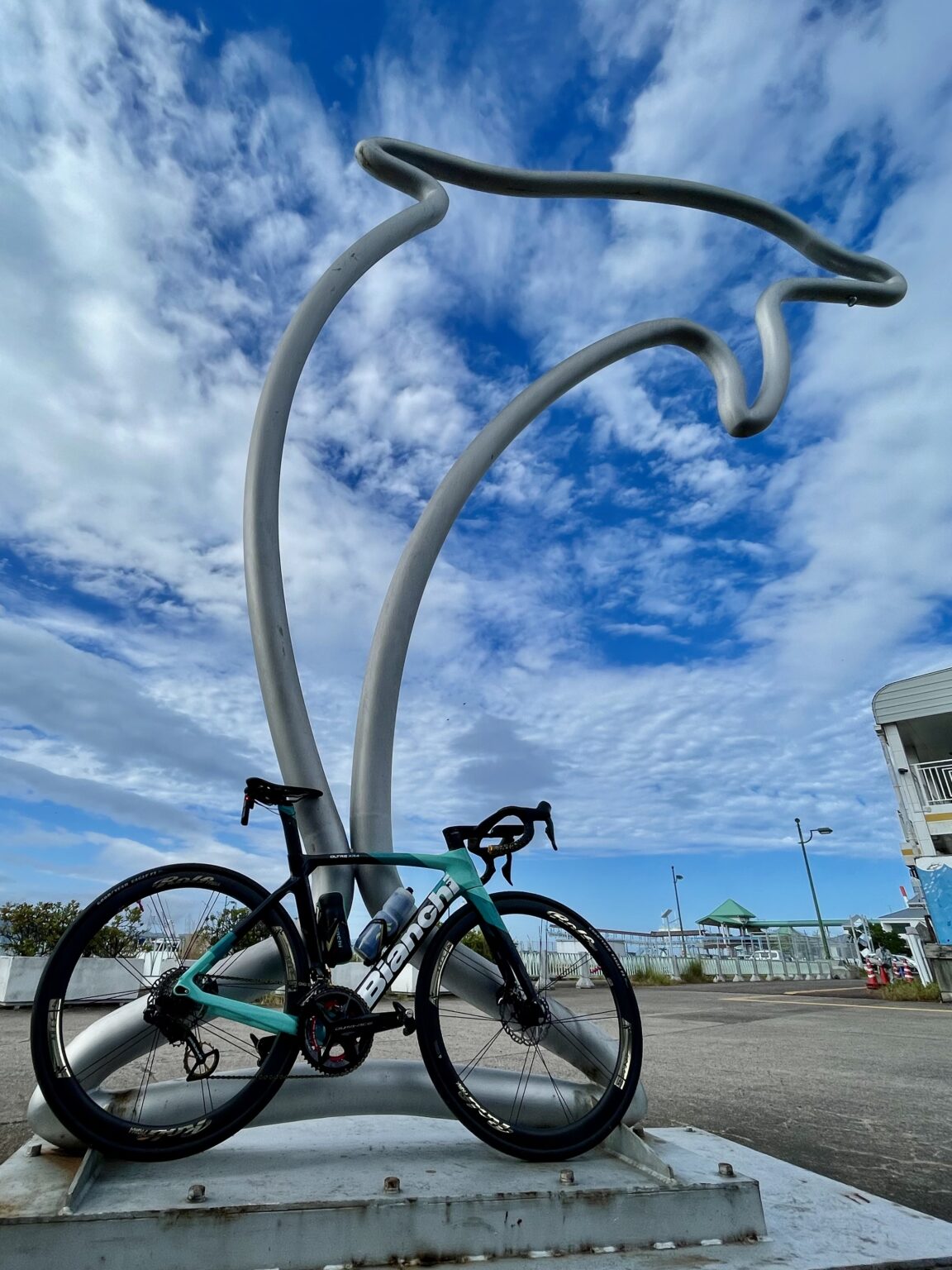 春日向とビアンキ2024 - BIANCHI-STORE